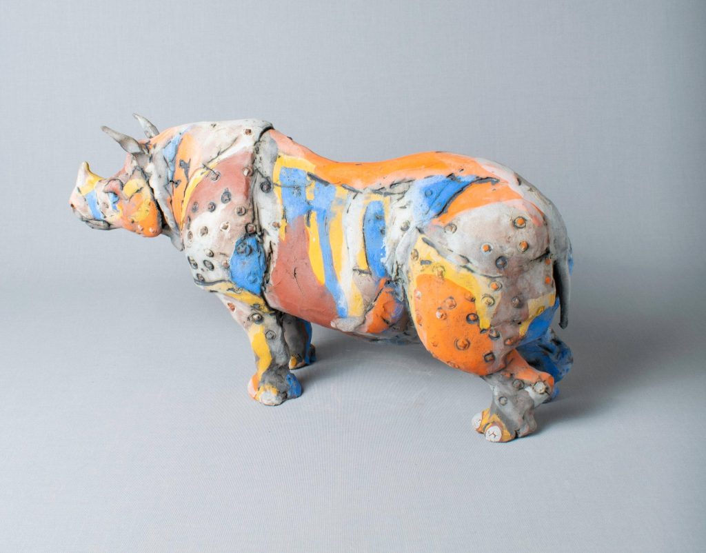 Indian Rhino (Rhinoceros Unicornis) – James Ort
