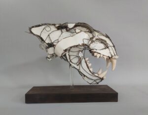 Gallery - James Ort